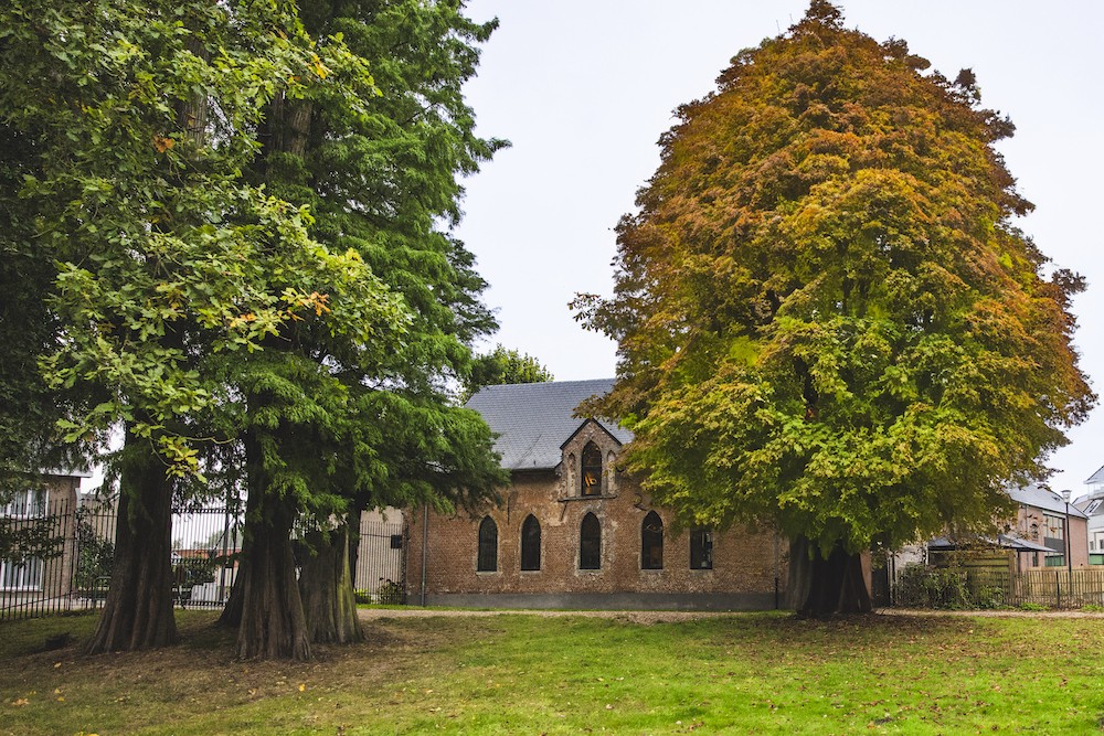 Hof Ter Zielbeek Puurs Antwerpen Salino Be